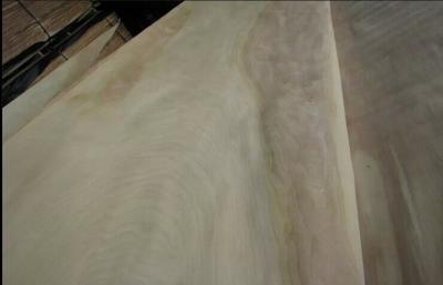 Cina Impiallacciatura di legno del taglio di taglio rotatorio naturale della betulla un grado per mobilia in vendita