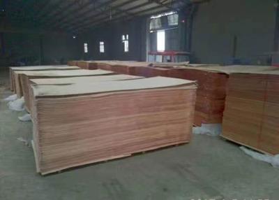 Cina Il taglio rotatorio Okoume impiallaccia di categoria B per la superficie della mobilia in vendita