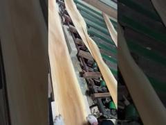 Elm Veneer Crown Cut