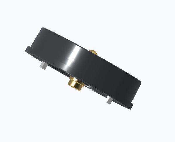 Quality OD20.0mm Customized 5A Rounded 2Pin Magnetic Brass C6801 Pogo Pin Connector for sale