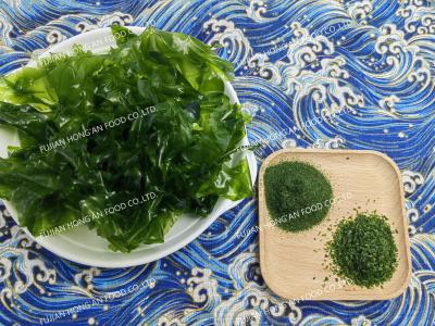 Cina Coltivazione sostenibile di ulve marine lactuca alghe marine polvere di lavanda verde per la cucina in vendita