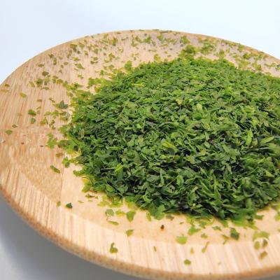 Cina Umami verde Ulva Lactuca in polvere di alghe per insalate e snack in vendita