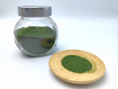 Cina Nori Biscuit Food Grade Organic Umami Green Ulva Lactuca Alghe di mare in polvere per insalate e snack in vendita