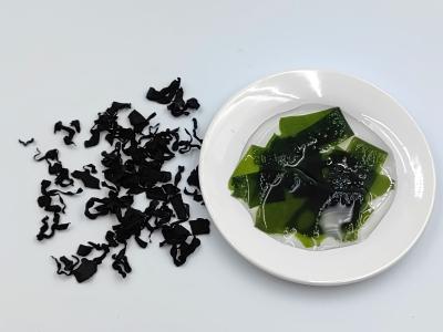 China Undaria Pinnatifida Dried Wakame Korean Miyeok Nutrient Rich Undaria Seaweed For Japanese Culinary Creations for sale