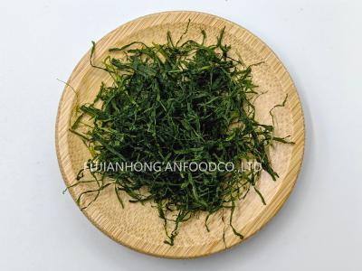 Cina 600 g di Ulva prolifera turchese fresca da mare in polvere come ingredienti di condimento in vendita