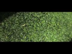 Japão Aonori Flakes Green Seaweed Laver Powder 6g Para cozinha japonesa e coreana