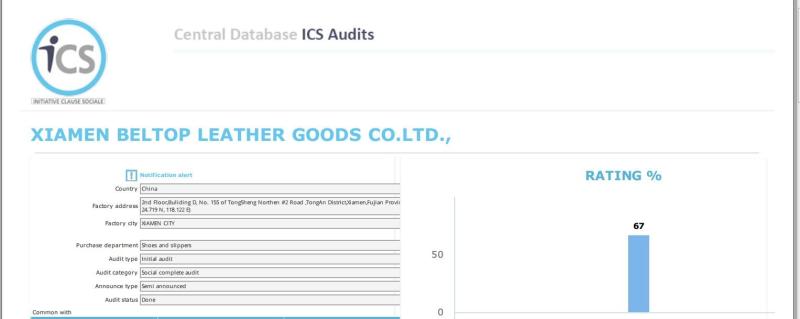 FRANCE ICS AUDIT - Everrise Accessories Limited