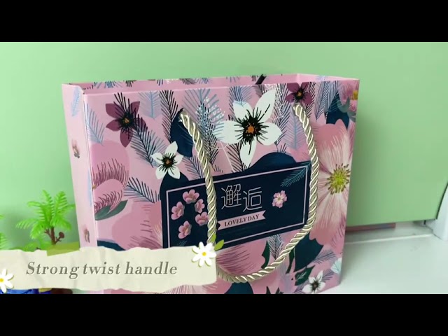 Glossy Lamination Shoes Clothing Paper Bags 250gam Coated