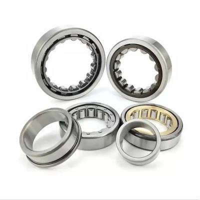 Cina 100*150*24mm di acciaio cromato GCr15 N1020EM NJ1020EM NU1020EM Cuscinetto a rulli cilindrico in vendita