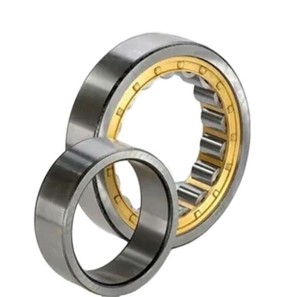 Quality NU1036EM NJ1036E Cylindrical Roller Bearings for Heavy Duty Vehicles and for sale