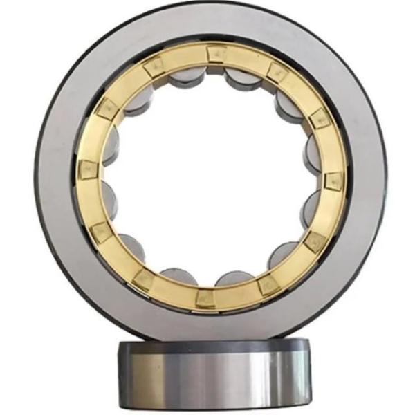 Quality NU1036EM NJ1036E Cylindrical Roller Bearings for Heavy Duty Vehicles and for sale
