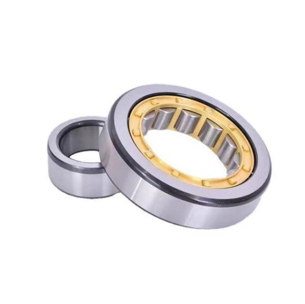 Quality NU1036EM NJ1036E Cylindrical Roller Bearings for Heavy Duty Vehicles and for sale