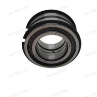 China Double Row SL04-5020PPNR Full Complement Cylindrical Roller Bearing for sale