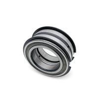 China Double Row Full Complement Cylindrical Roller Bearing SL04 5006PP2NR for Rolling Mill for sale