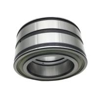 China Double Row Full Complement Cylindrical Roller Bearing SL04 5006PP2NR for Rolling Mill for sale