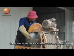 Rebar concrete slab cutting by diamond saw blade with U segments