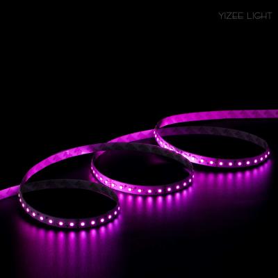 China 10mm 5m rGB Led Strip Lights 24V 60LEDs/M 14.4W LED Tape Colour Changing for sale