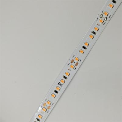 China 20m Ultra Long Constant Current Flexible Led Strip Light Tape 24V 12mm Led Flexible Ribbon for sale