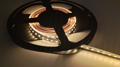 China 20m Ultra Long Constant Current Flexible Led Strip Light Tape 24V 12mm Led Flexible Ribbon for sale