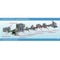 Quality Full-Automatic Packaging Turnkey Solution | Cut 60-80% Labor Cost, 12-24 Months for sale