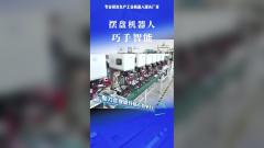 Palletizing Robot  Food placing