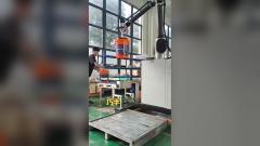Palletizing Robot 002