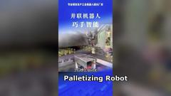 Palletizing Robot