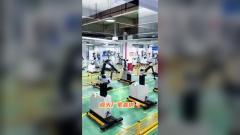 Palletizing Robot 005