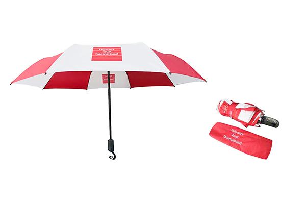 42-inch double layer auto open and close folded umbrella product image