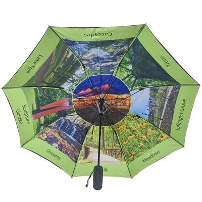 China 2 Folded Automatic Compact Travel Umbrella 112cm Arc Diameter 44cm Folded Length for sale