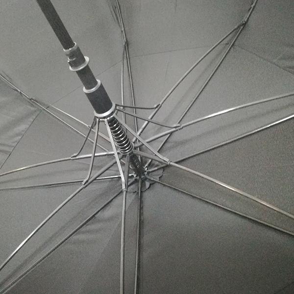 Quality 30 Inch Double Layer Promotional Umbrellas Windproof Large Auto Open Close for sale