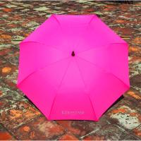 China Manual Open Promotional Reverse Umbrellas Double Layer Windproof Umbrella for sale
