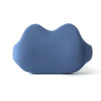 China Customized Color Healthy Back Support Cushion for Extra Dense Memory Foam Lumbar Support for sale