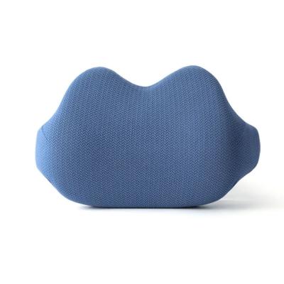 China Customized Color Healthy Back Support Cushion for Extra Dense Memory Foam Lumbar Support for sale