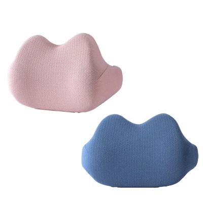 China Customized Color Healthy Back Support Cushion for Extra Dense Memory Foam Lumbar Support for sale