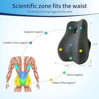 China Logo Custom Logo Accepted Ergonomic Memory Foam Lumbar Cushion Back Support for Office for sale