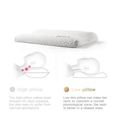China Packaging Options Carry Bag/Color Bag/Drawstring Bag/Carton Memory Foam Orthopedic Pillow for sale