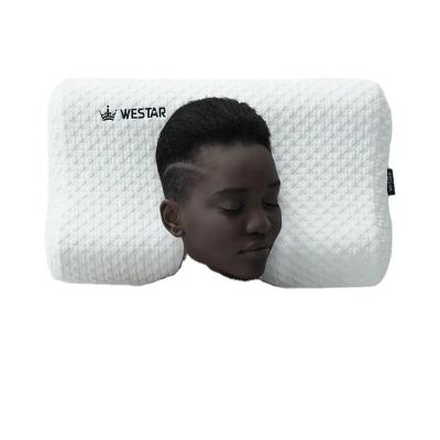 China Packaging Options Carry Bag/Color Bag/Drawstring Bag/Carton Memory Foam Orthopedic Pillow for sale