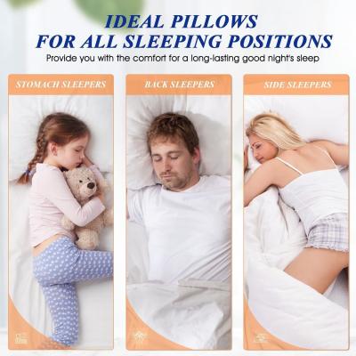 China Queen Size Set of 2 Cooling Hotel Bed Pillows for Healthy Sleep Deep Sleep Home Pillow Cushion for sale