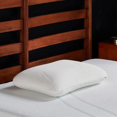 Memory Foam Symphony Pillow Standard White 2 Pack Pattern Celebrities Home Hotel Hospital