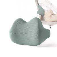 China Home Decor Sofa Cushion Memory Foam Back Rest Support Cushion with Removable Cover for sale