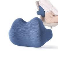 China Home Decor Sofa Cushion Memory Foam Back Rest Support Cushion with Removable Cover for sale