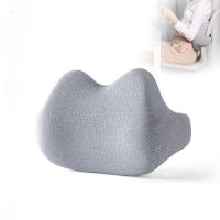 China Home Decor Sofa Cushion Memory Foam Back Rest Support Cushion with Removable Cover for sale