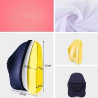 China 2023 Lumbar Big Cushion Elastic Memory Foam Back Rest Support Cushion and Customized for sale