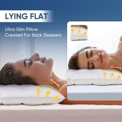 Cina Comodi e supportivi cuscini da letto sottili per lo stomaco in vendita