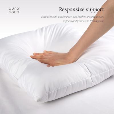 Cina Inserti di cuscino in piuma di oca naturale 20 x 20 Set di 2 Bianco è personalizzato Sì in vendita