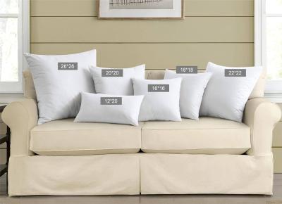 Cina Inserti di cuscino in piuma di oca naturale 20 x 20 Set di 2 Bianco è personalizzato Sì in vendita