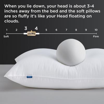 China Pillows Queen Size Set of 2 Soft and Supportive Queen Pillows 2 Pack for Hotel Sleeping for sale