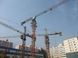 Cina Gru a torre della costruzione (TC5811) lunghezza del fiocco da 58 m., carico nominale 1.1t che orza gru in vendita
