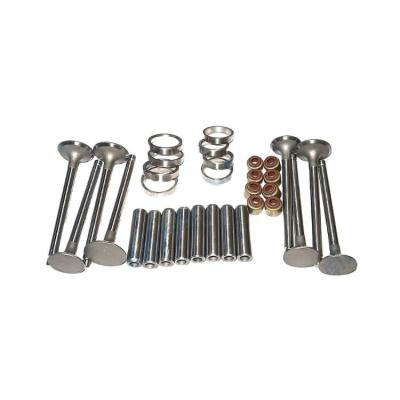 Cina Valvola di scarico di aspirazione in acciaio di dimensioni standard per ricambi di auto QC480 2408000300800-c in vendita